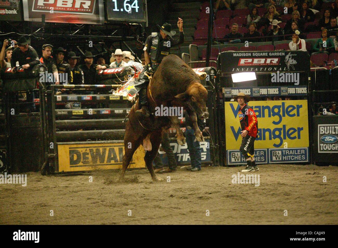 Jan. 8, 2011 - New York, New York, U.S. - Professional Bull Riding ...