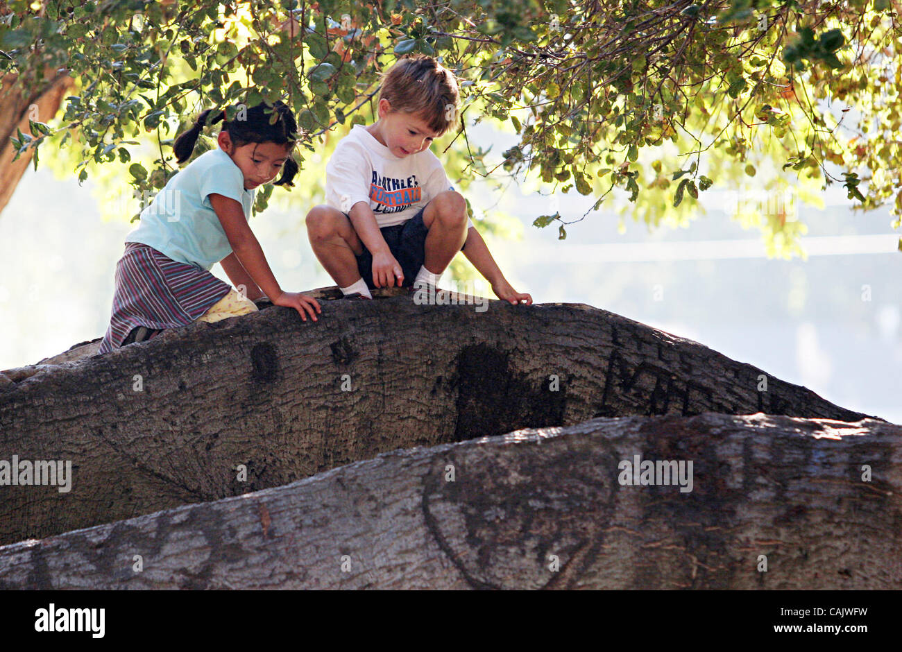 Students Anasofia Shack and Charles Mitz climb on an oak tree during ...