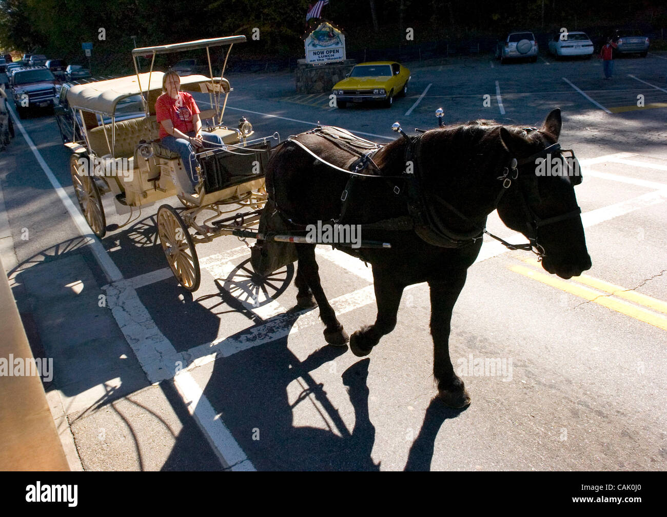 Helen georgia carriage horse hi-res stock photography and images - Alamy