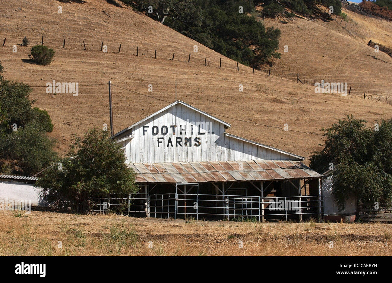 Priem hi-res stock photography and images - Alamy