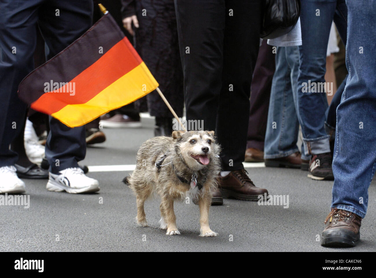 Sep 15, 2007 - Manhattan, NY, USA - A dog with a German flag attached ...