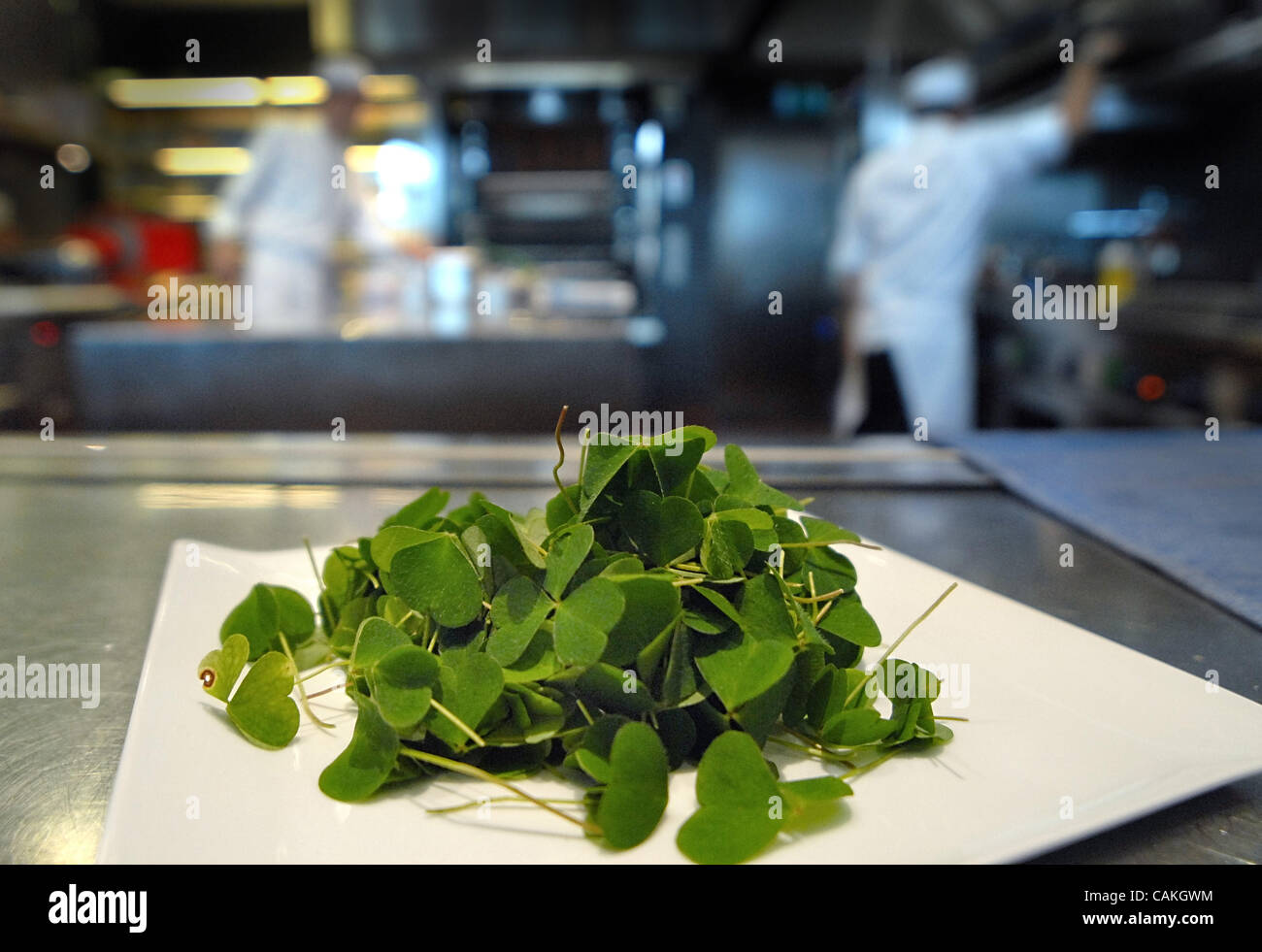 Mathias dahlgren hi-res stock photography and images - Alamy