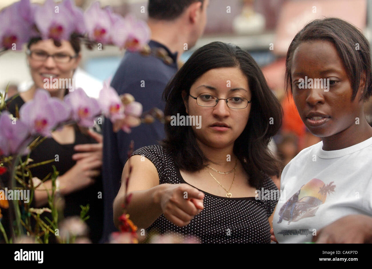 The 33rd annual Solano Avenue Stroll takes over the Avenue from Albany ...