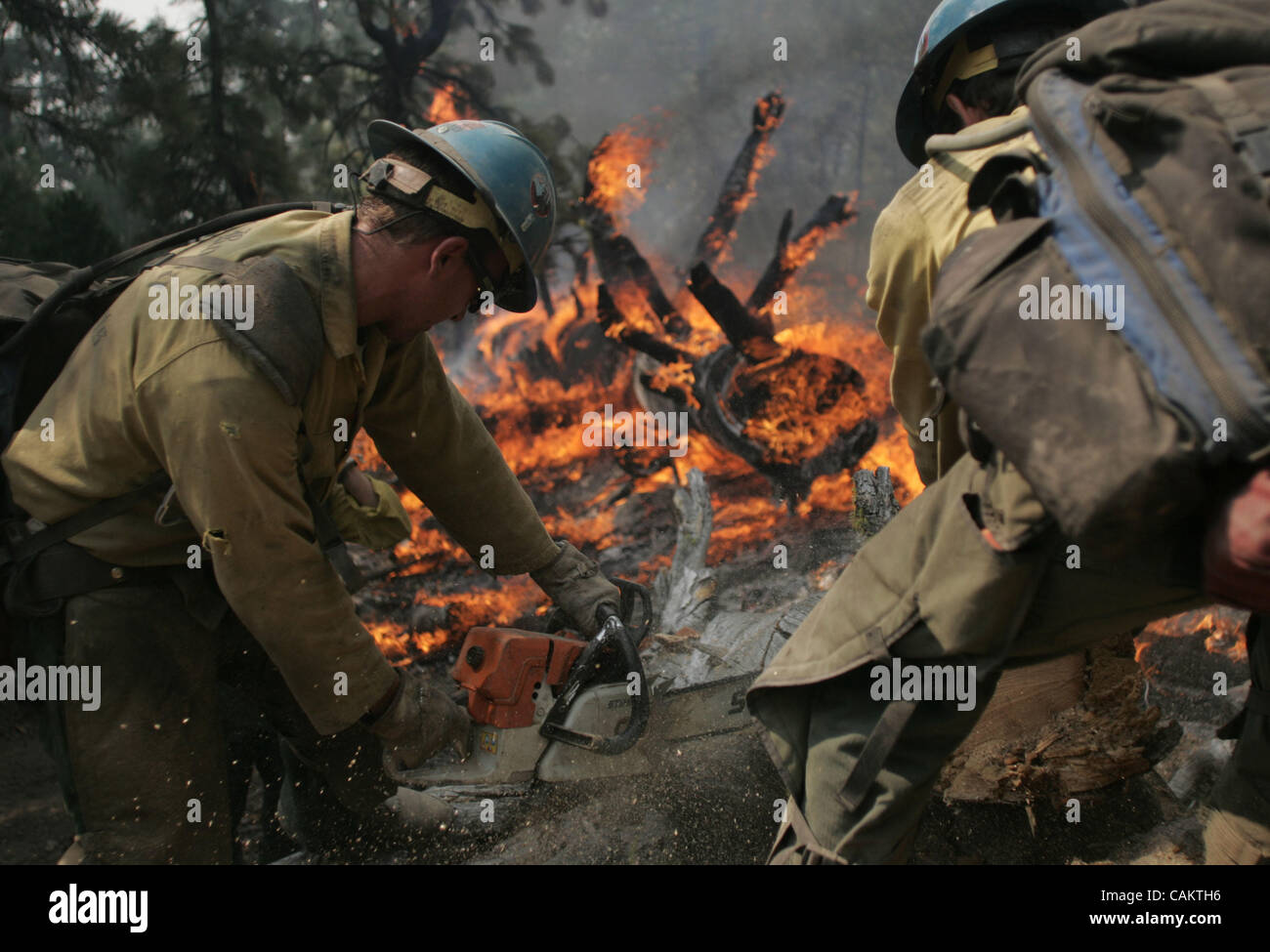 Photo by: Guy Kitchens Del Rosa Hotshots try to cut through a tree that ...