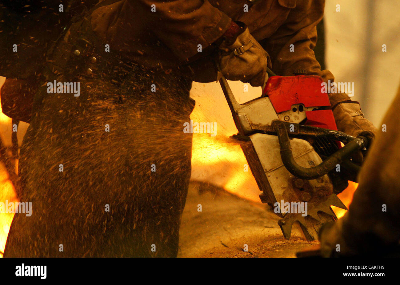 Photo by: Guy Kitchens A Del Rosa Hotshot cuts through a tree in ...