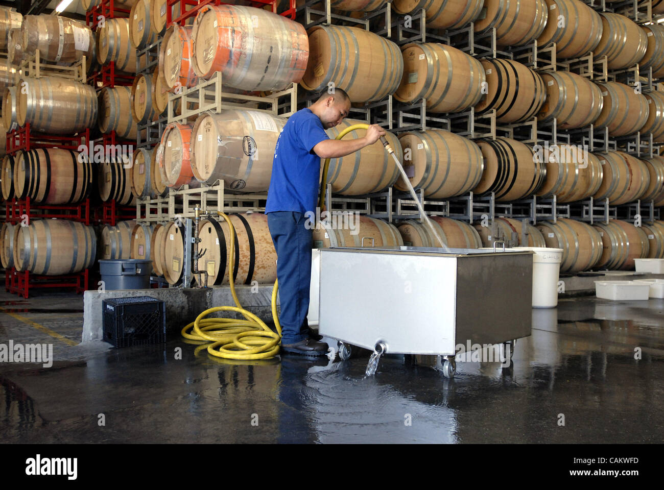 JC Cellars harvest intern Philip Ye washes a stainless steel container ...