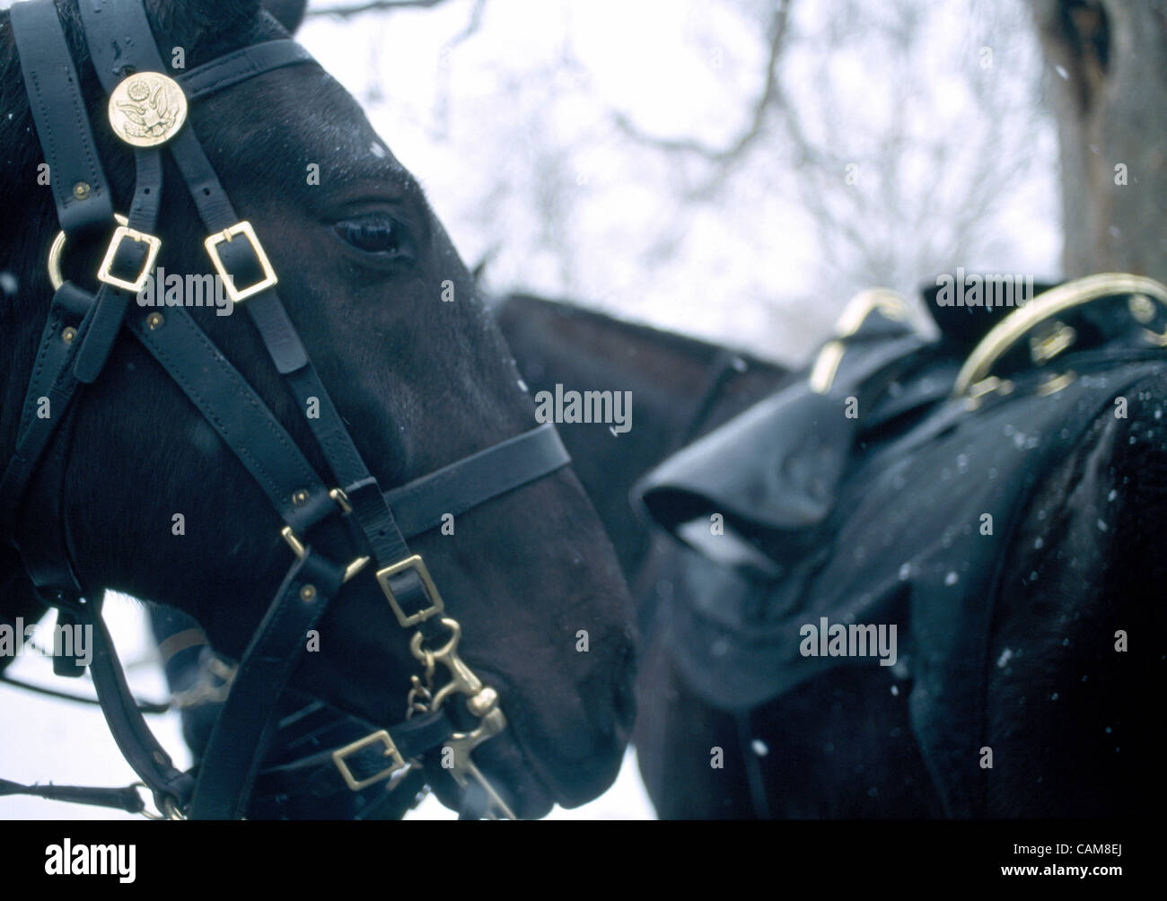 Feb. 24, 2004 - Arlington, Virginia, U.S. - Members of the Caisson ...
