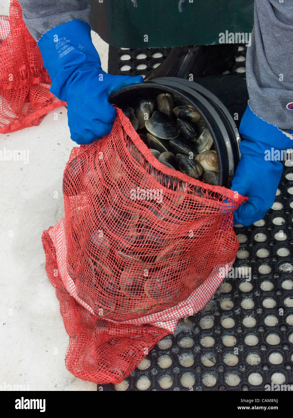 Bagging fish hi-res stock photography and images - Alamy