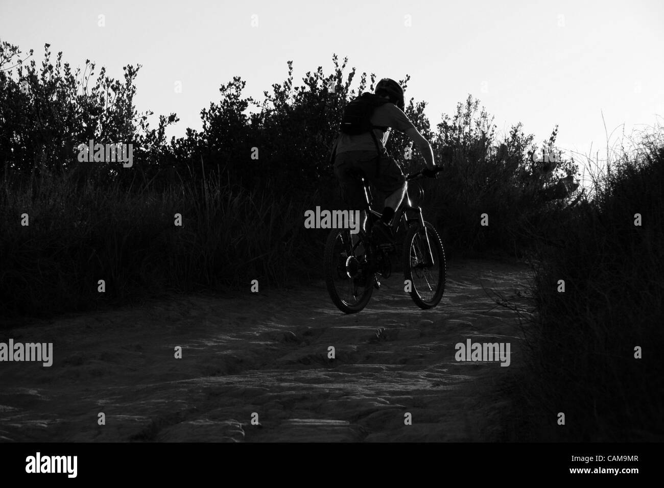 Within wood Black and White Stock Photos & Images - Alamy