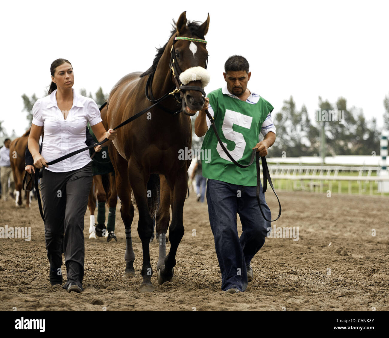 Gulfstream park florida hi-res stock photography and images - Alamy