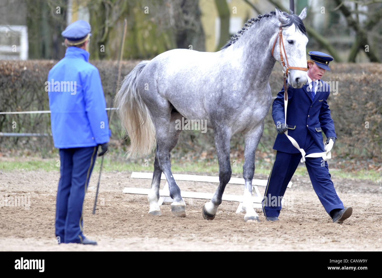 Spring auction of oldkladrubs horses in National stud in Kladruby nad ...