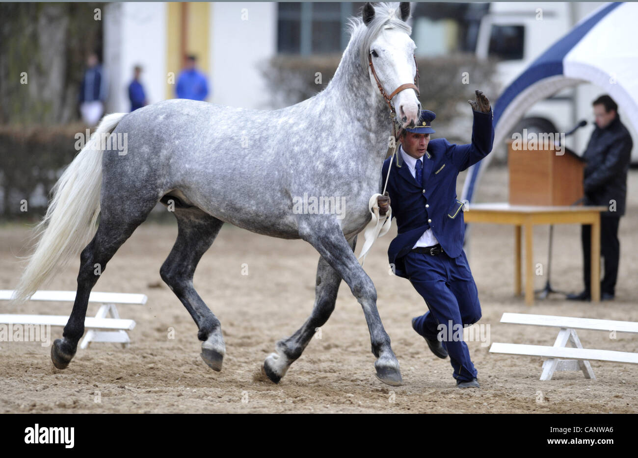 Spring auction of oldkladrubs horses in National stud in Kladruby nad ...