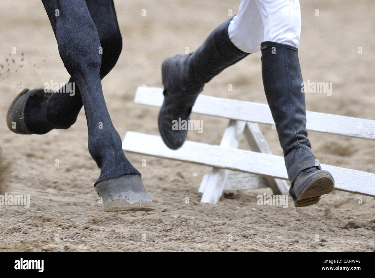 Spring auction of oldkladrubs horses in National stud in Kladruby nad ...