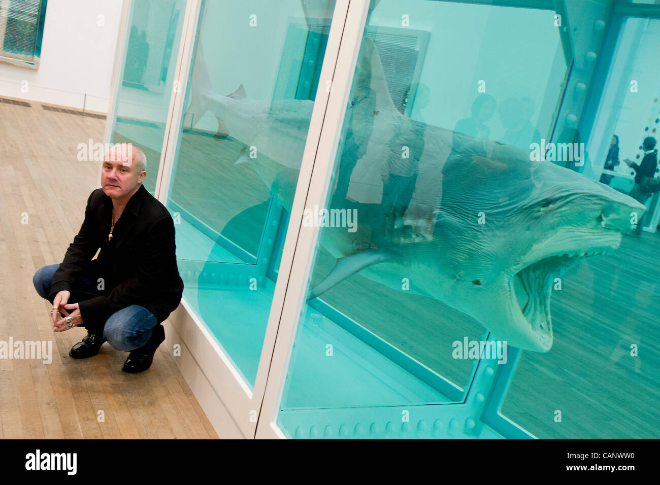 Formaldehyde shark hi-res stock photography and images - Alamy