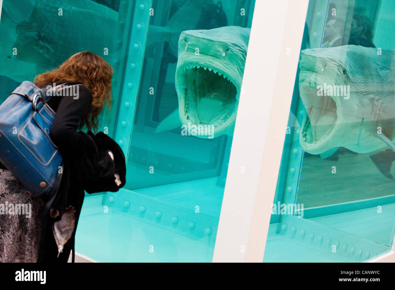 The Physical Impossibility of Death in the Mind of Something Living ...