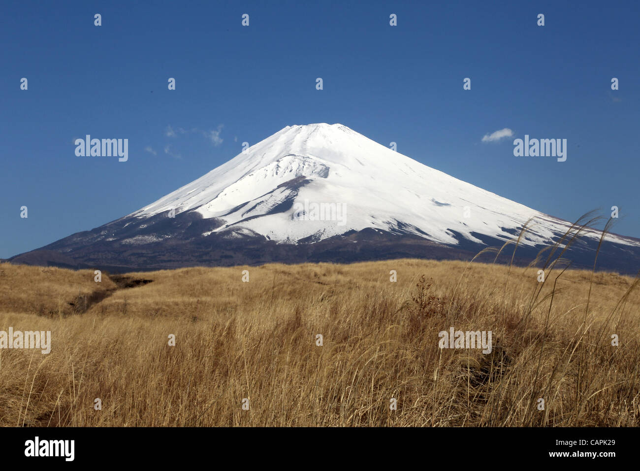 Fuji susono hi-res stock photography and images - Alamy