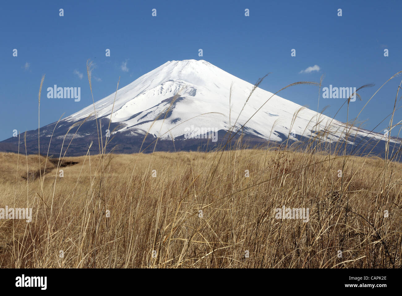 Fuji susono hi-res stock photography and images - Alamy