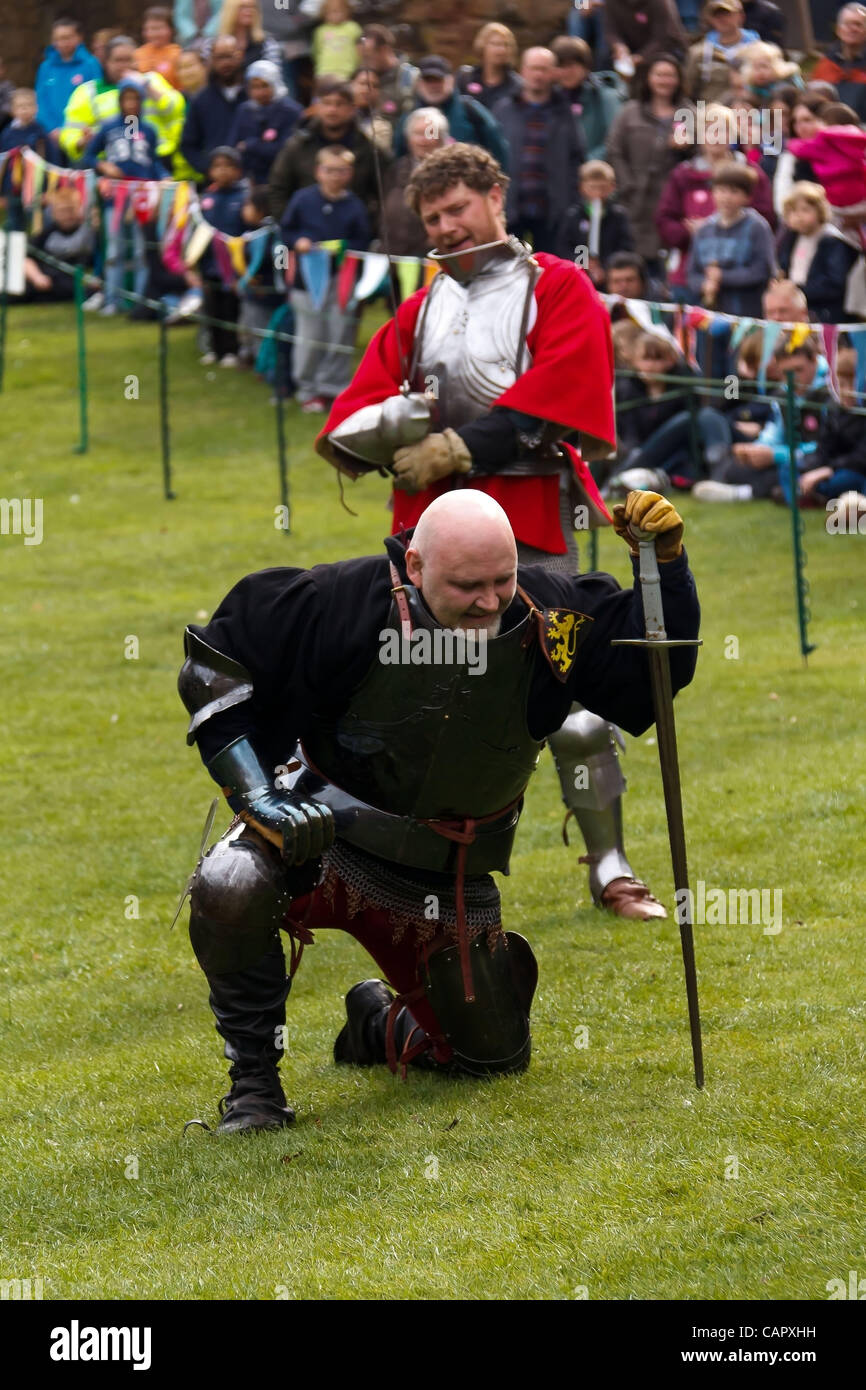 A defeated black knight tries to stand during a fight at the Kenilworth ...