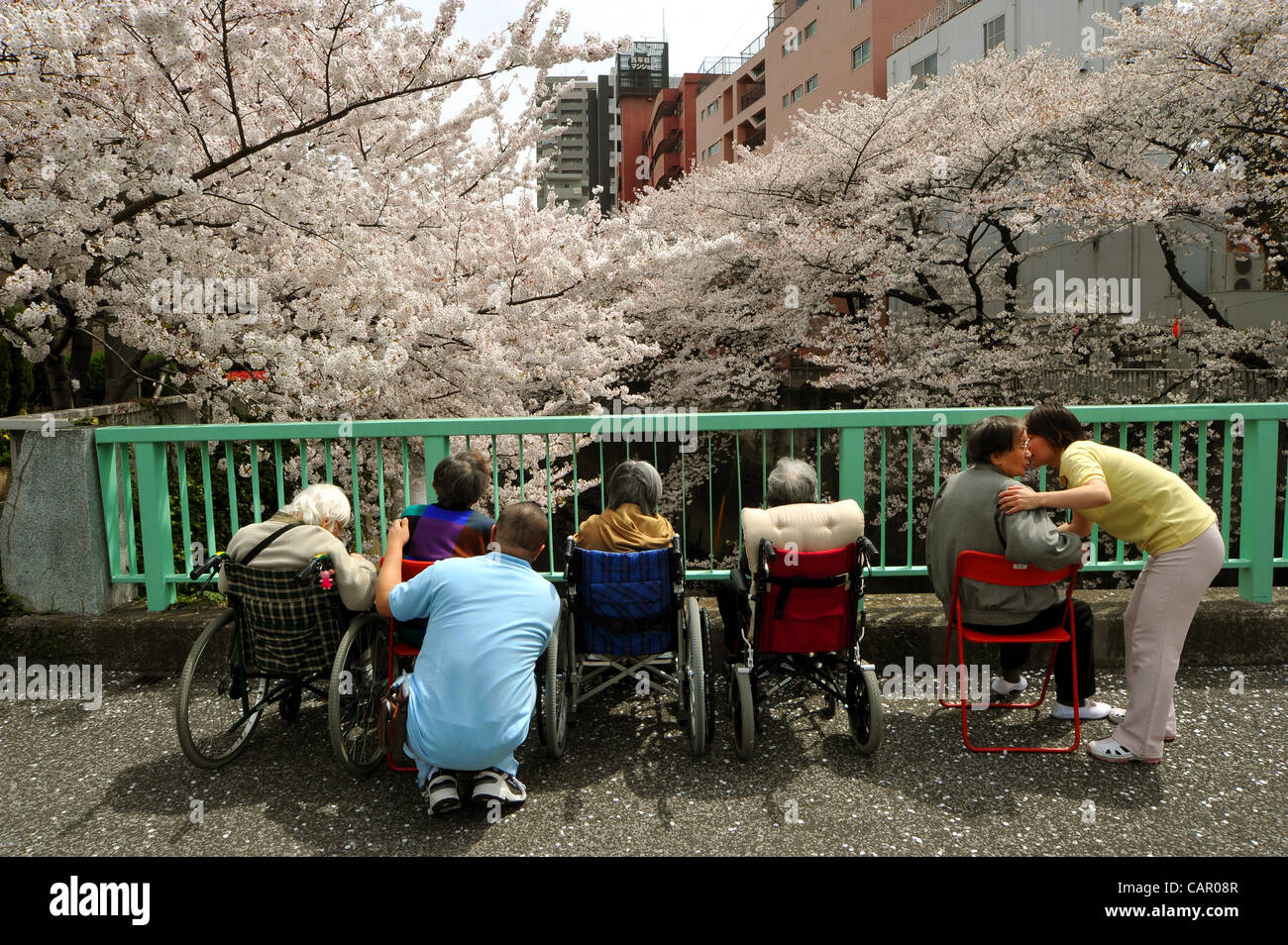 Elderly wheelchair japan hi-res stock photography and images - Alamy