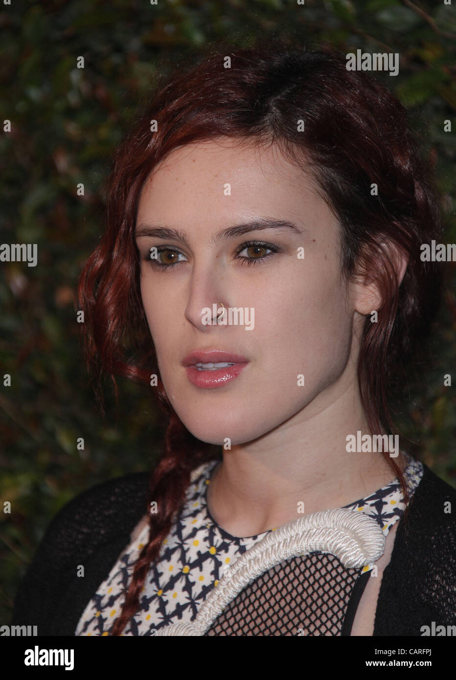 Lisa willis hi-res stock photography and images - Alamy