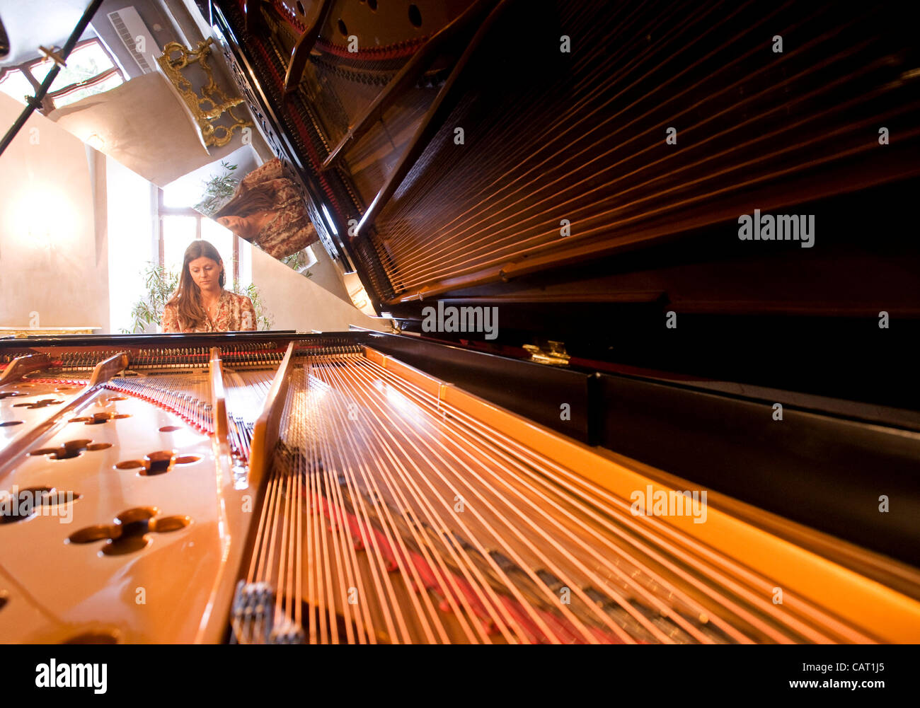 Unique musical instrument Bechstein grand piano, made for the tsarist ...