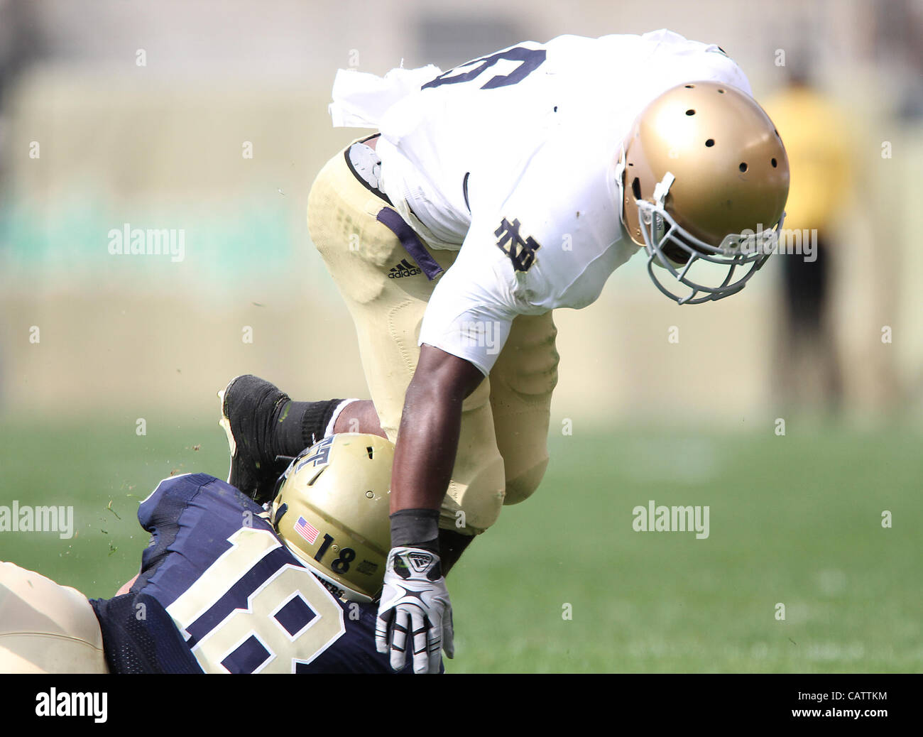 Theo riddick hi-res stock photography and images - Alamy