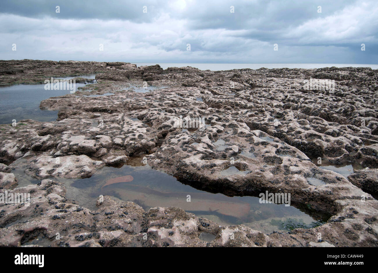 Mumbles lifeboat disaster hi-res stock photography and images - Alamy