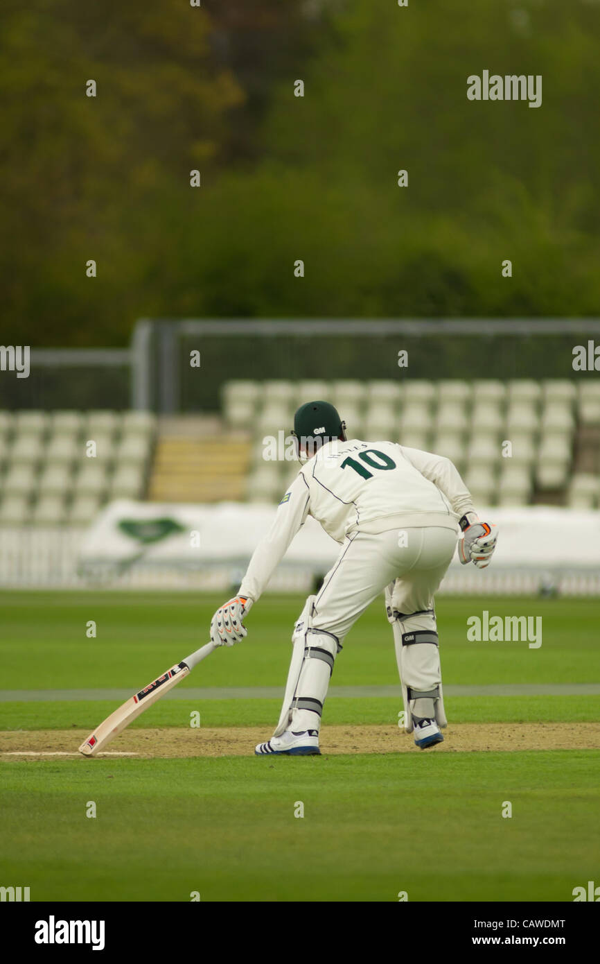 Cricket alex hi-res stock photography and images - Alamy