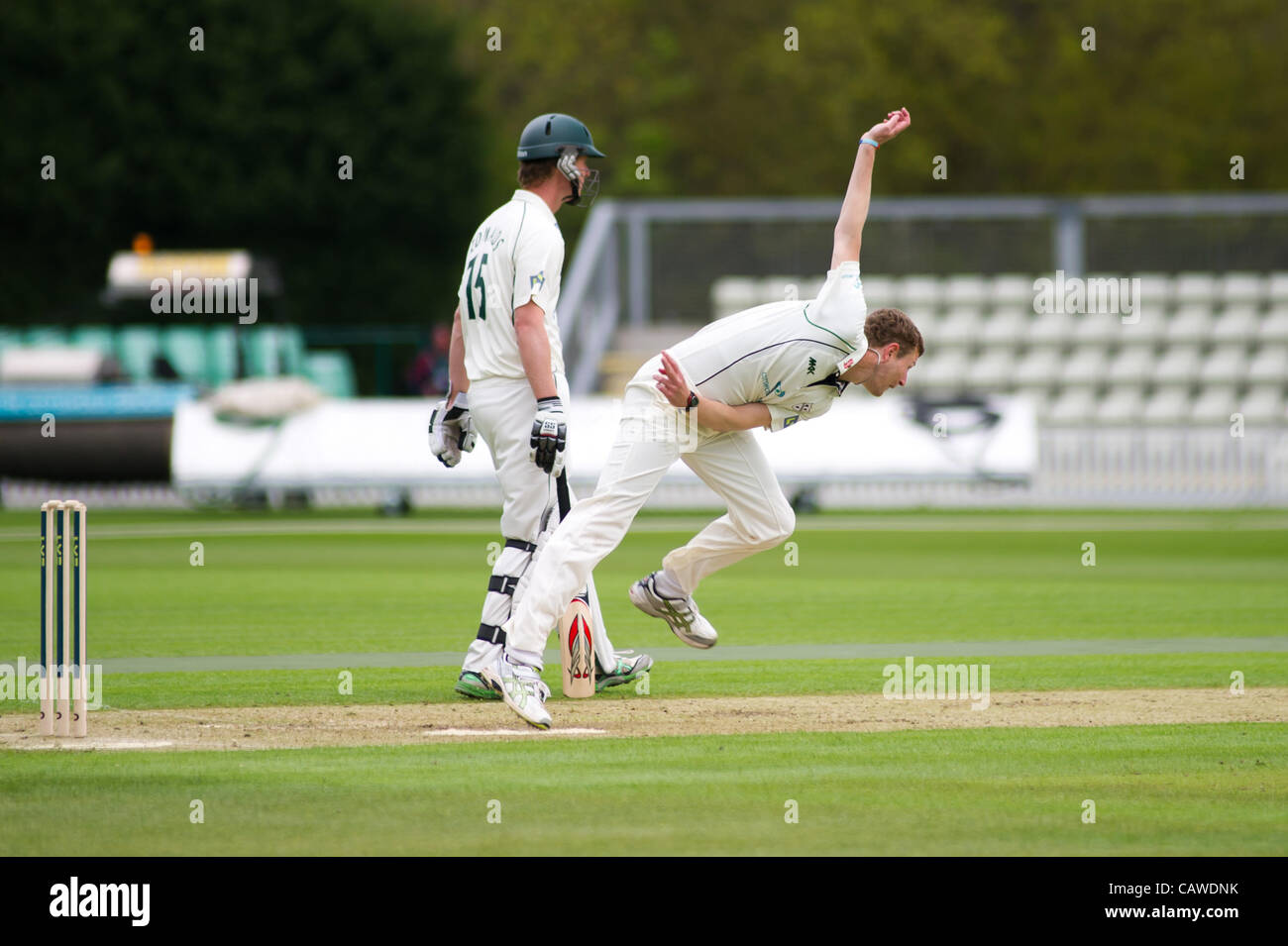 Cricket david hi-res stock photography and images - Alamy