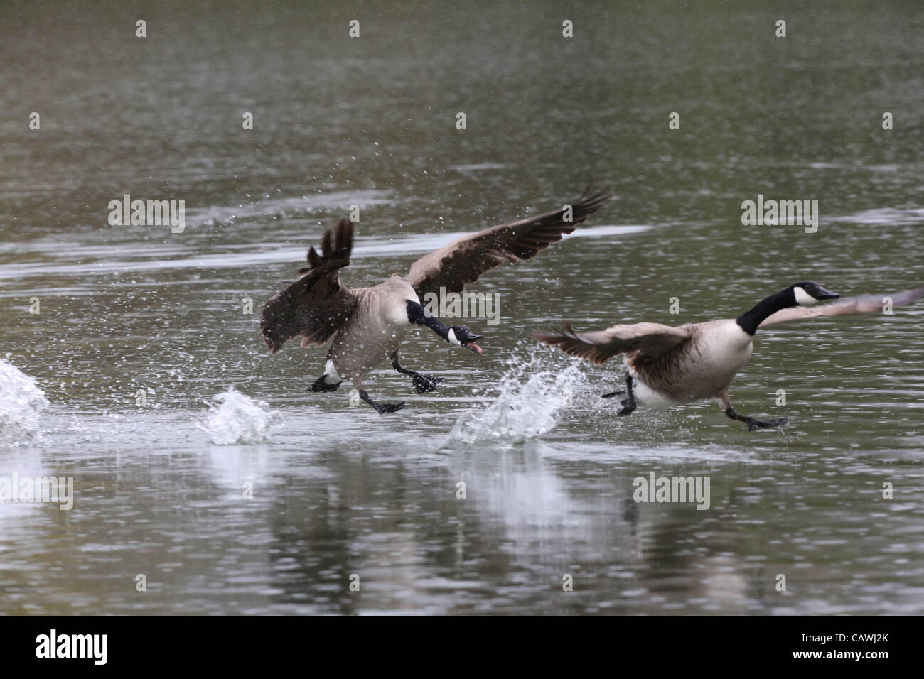 Wet wetaher hi-res stock photography and images - Alamy