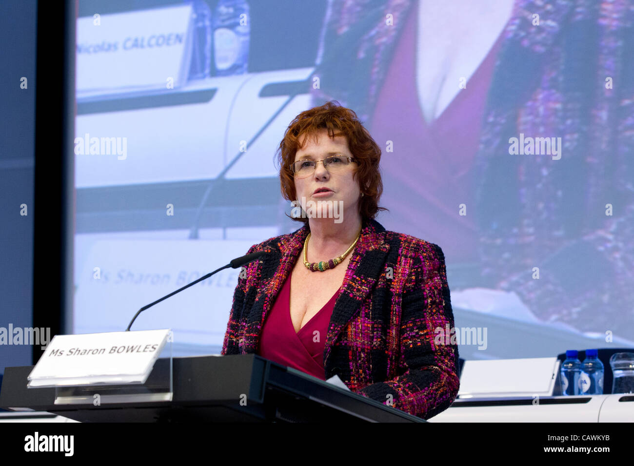 sharon bowles mep economic monetary affairs europe Stock Photo - Alamy