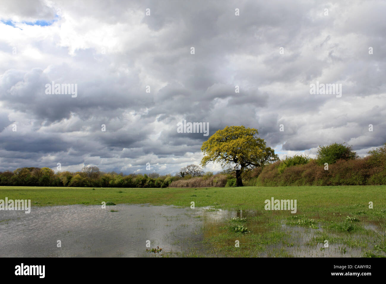 Tolworth court farm fields hi-res stock photography and images - Alamy