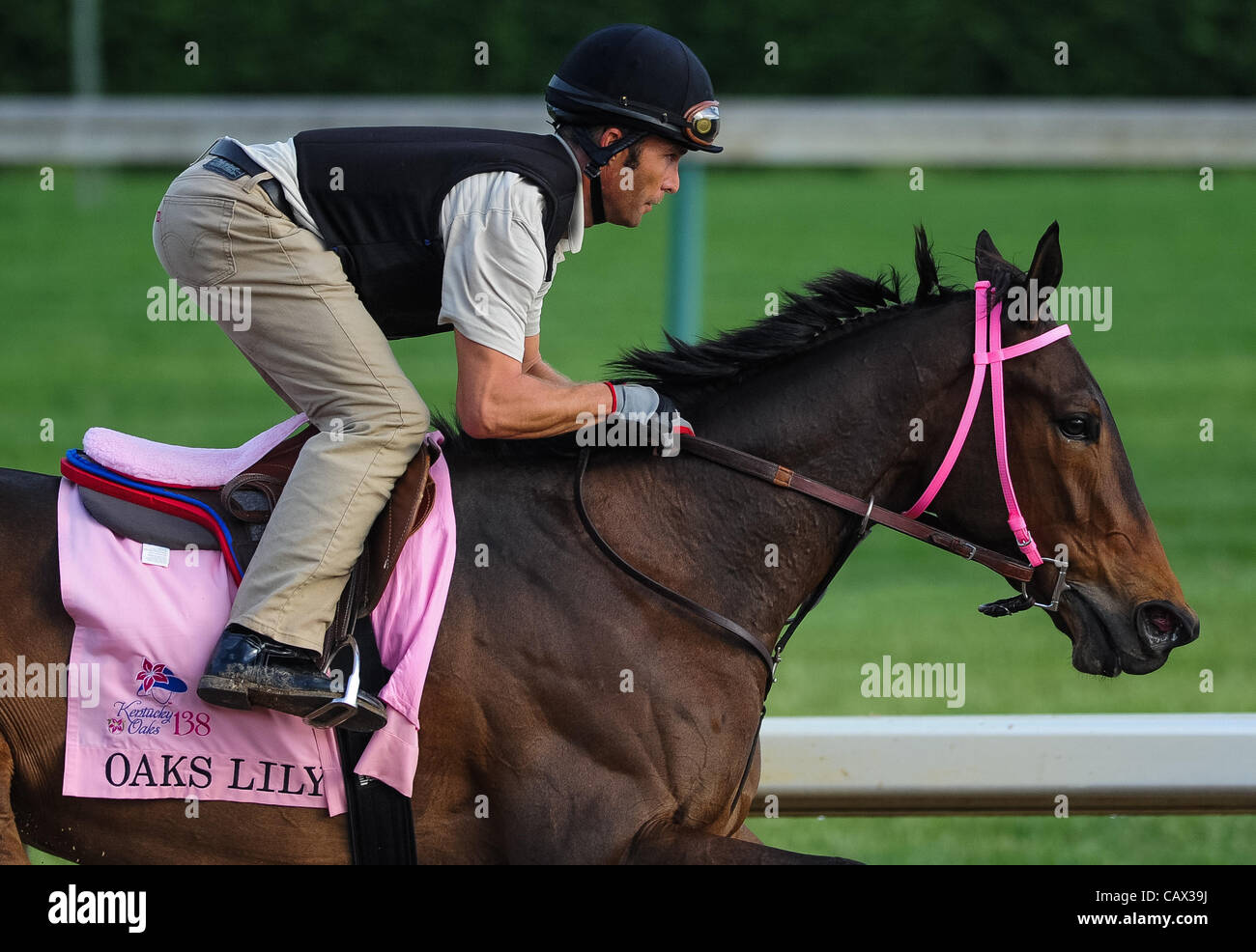 Kentucky oaks lily hi-res stock photography and images - Alamy