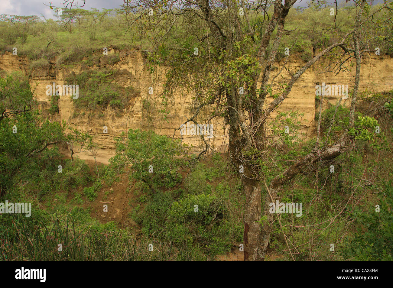 Hell’s gate gorge hi-res stock photography and images - Alamy