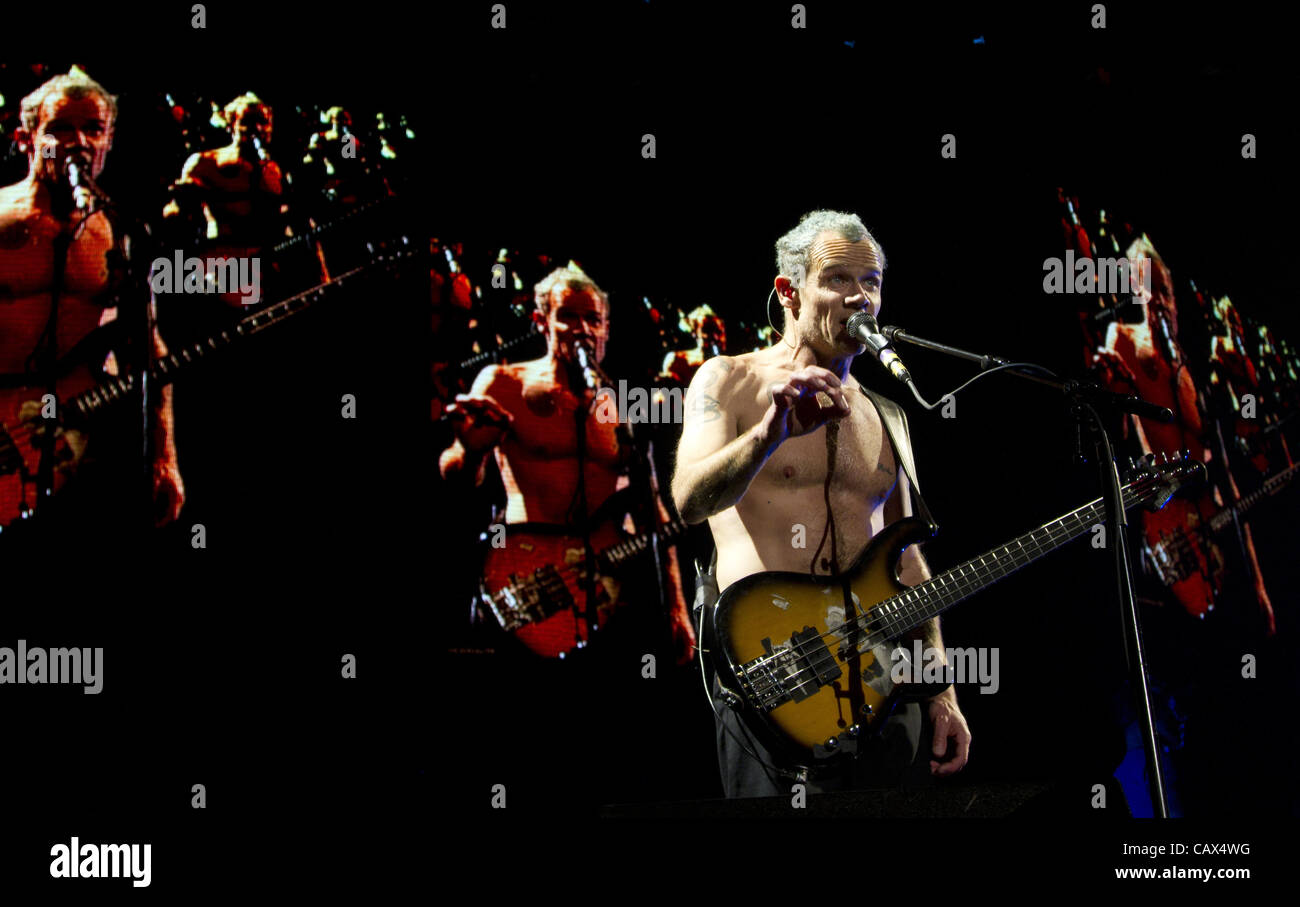 Flea bassist hi-res stock photography and images - Alamy