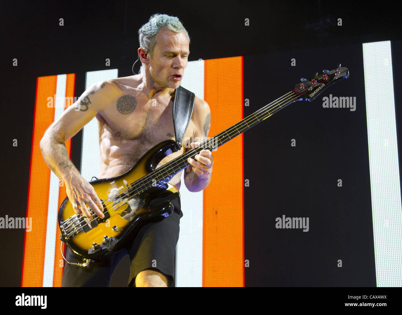 Bassist Flea Stock Photos & Bassist Flea Stock Images - Alamy