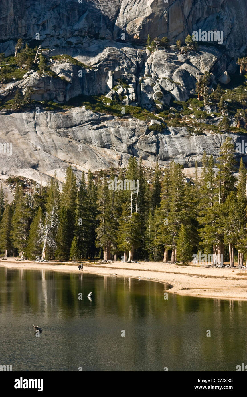 Tenaya can hi-res stock photography and images - Alamy