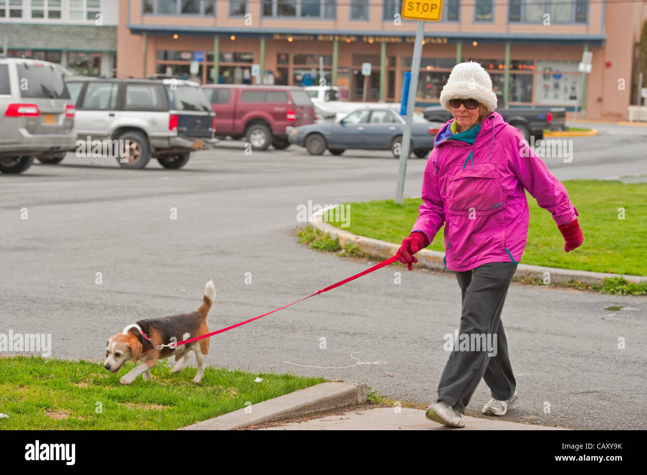 Elderly woman walking elderly beagle in Sitka, Alaska Stock Photo - Alamy