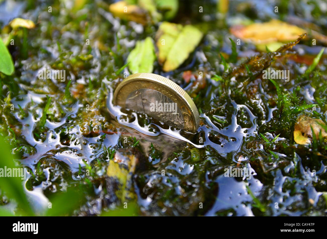Elections in france hi-res stock photography and images - Alamy