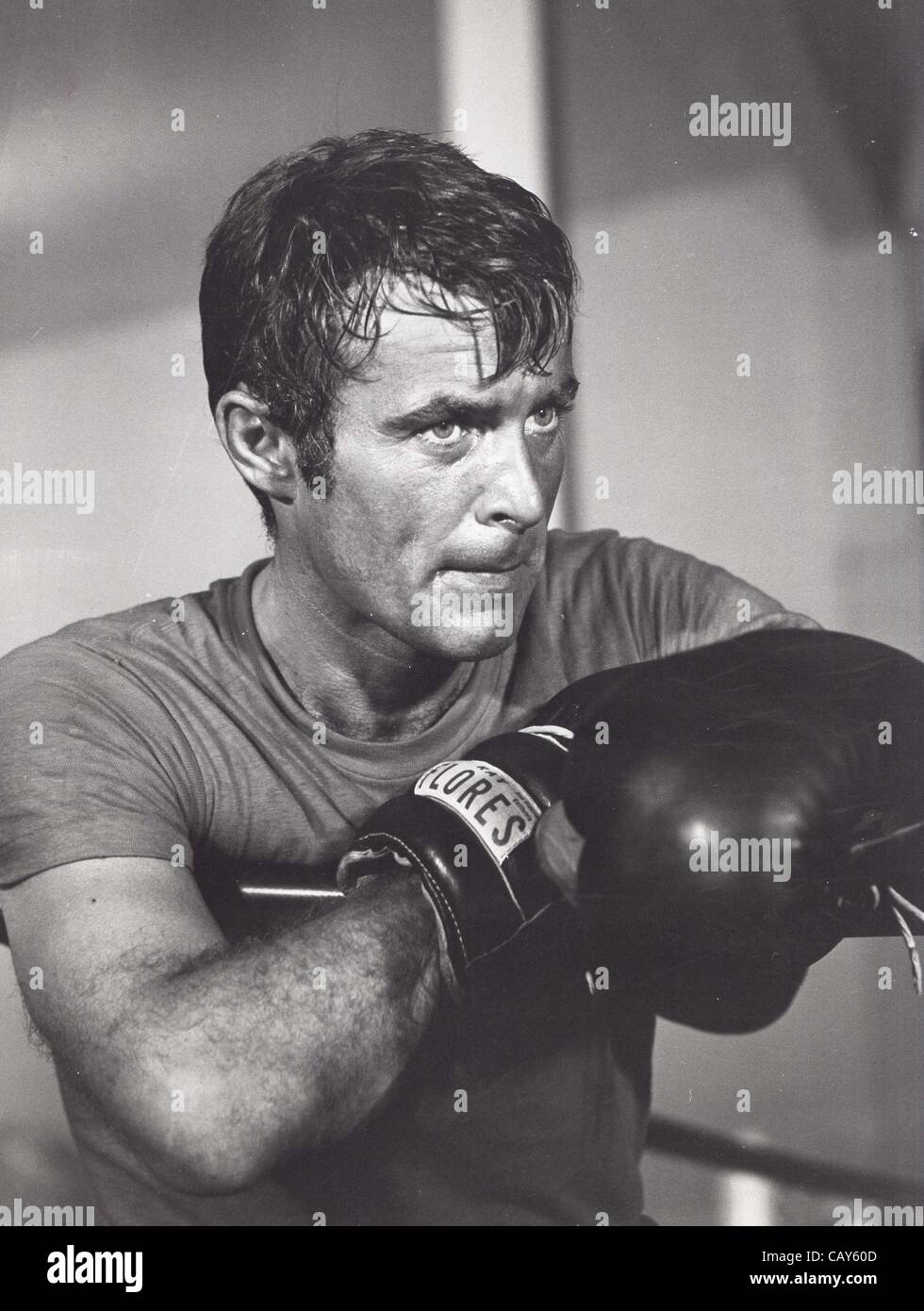 ROBERT CONRAD.The D.A.: Conspiracy to Kill.Supplied by Photos inc ...