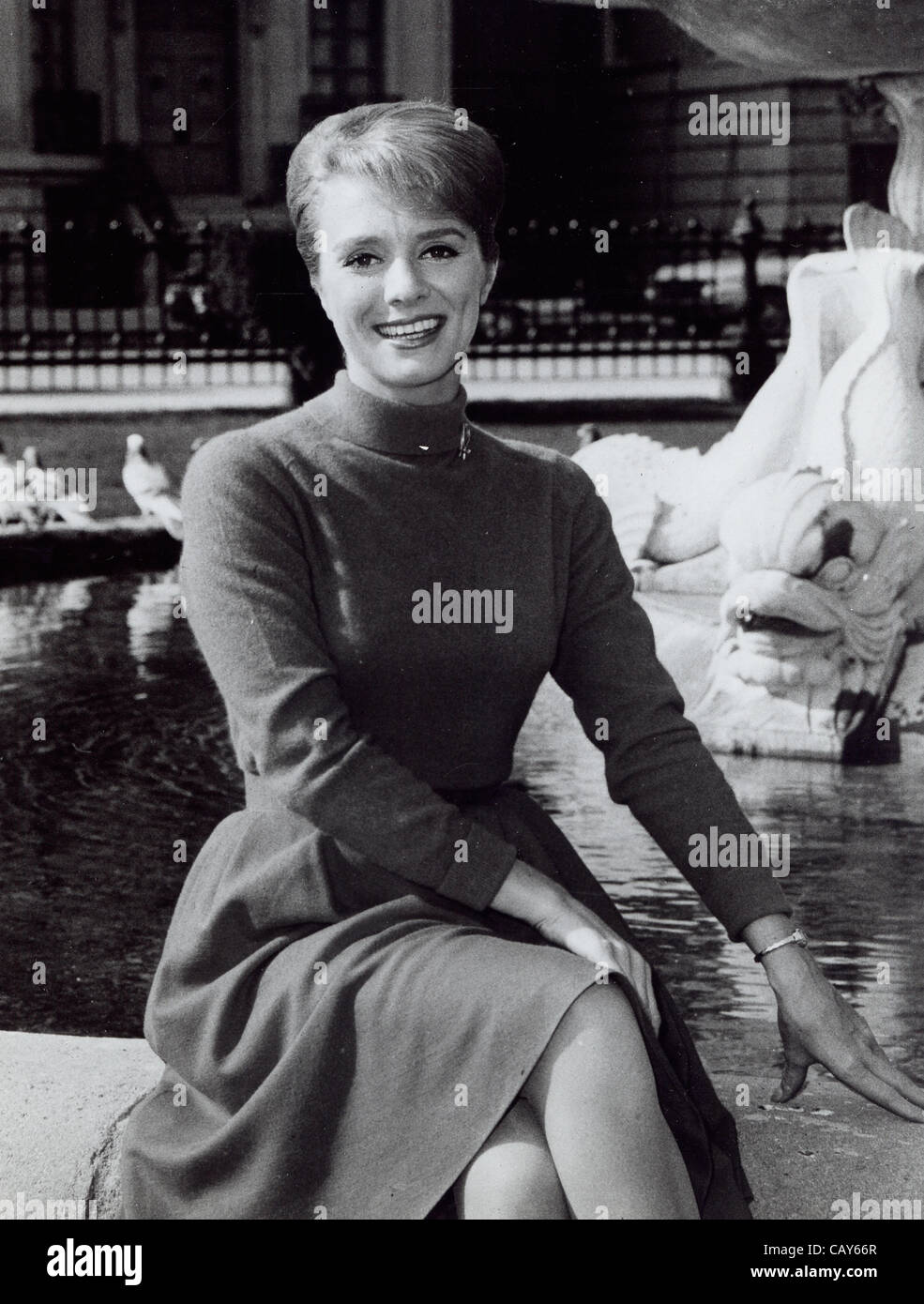 Inger Stevens Inger Stevens TV Shows Picture Click Quiz By