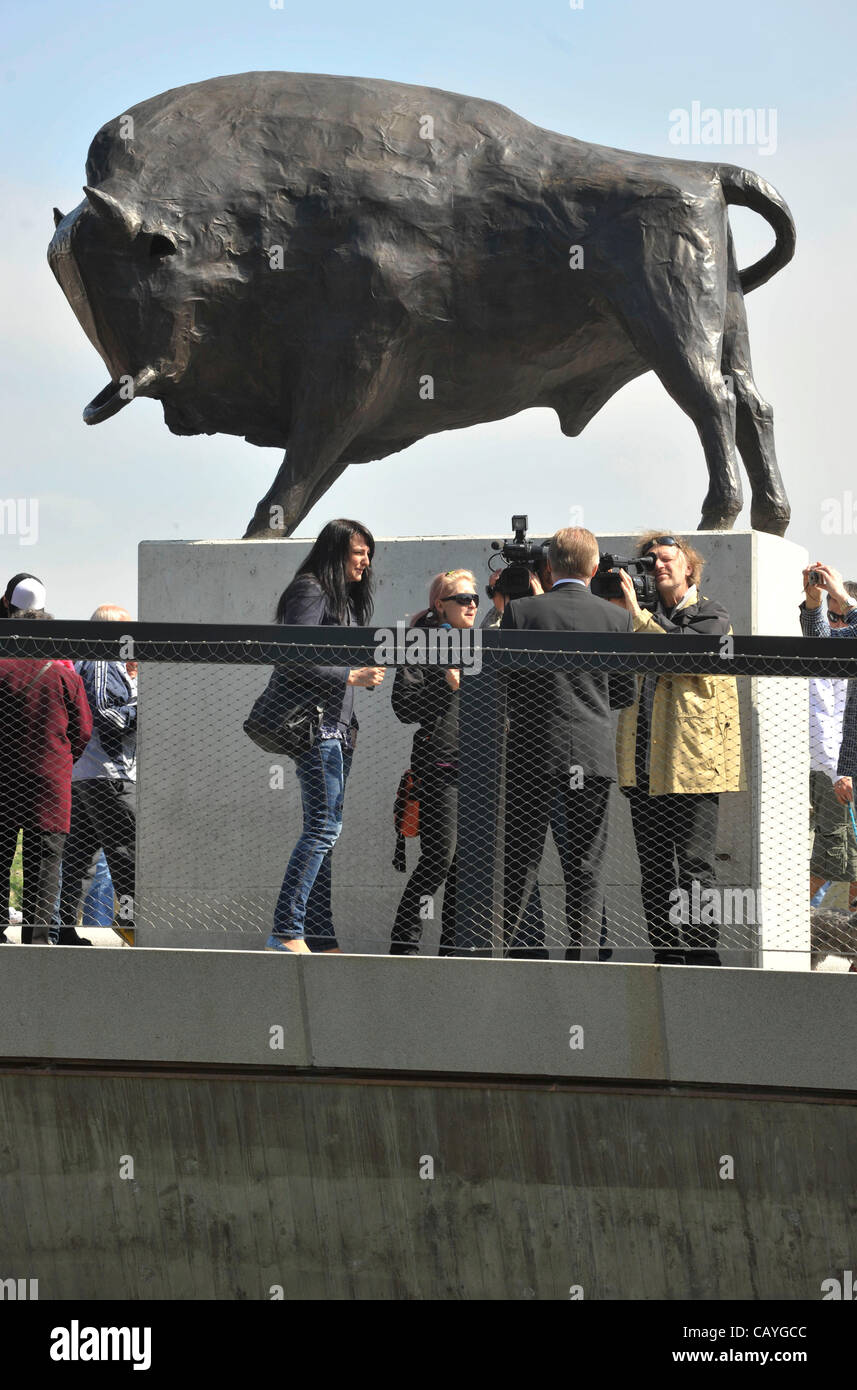 On the 8th of May there was a ceremonial opening of the Tyrsuv bridge ...