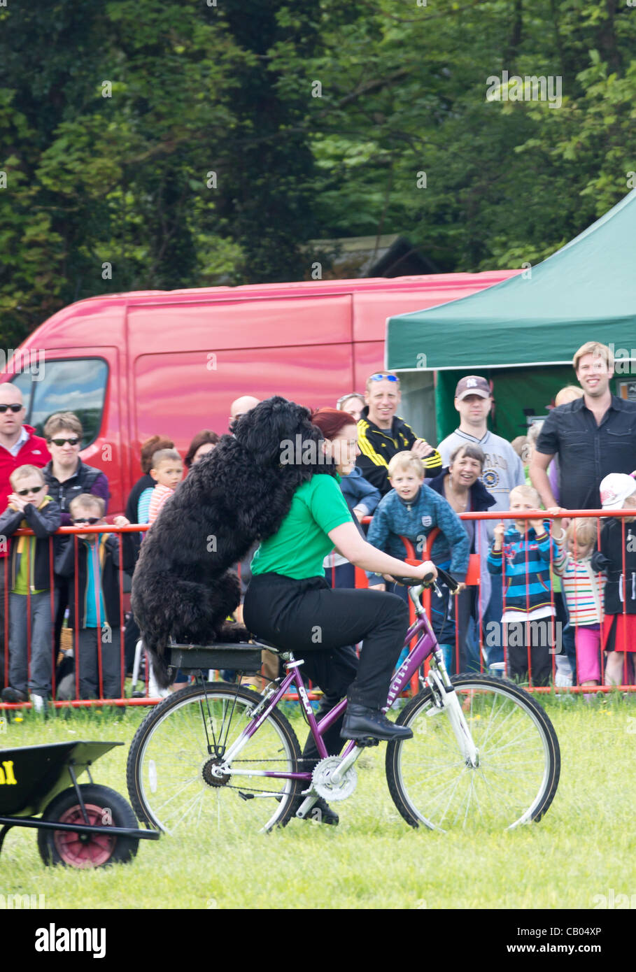 Essex Dogs display team demonstrating there skills with dogs riding on ...