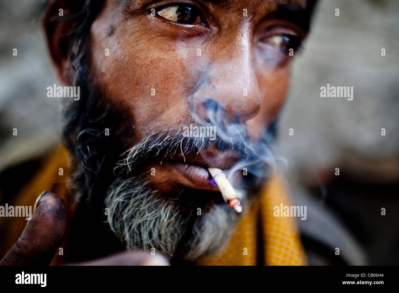 Beedee hi-res stock photography and images - Alamy