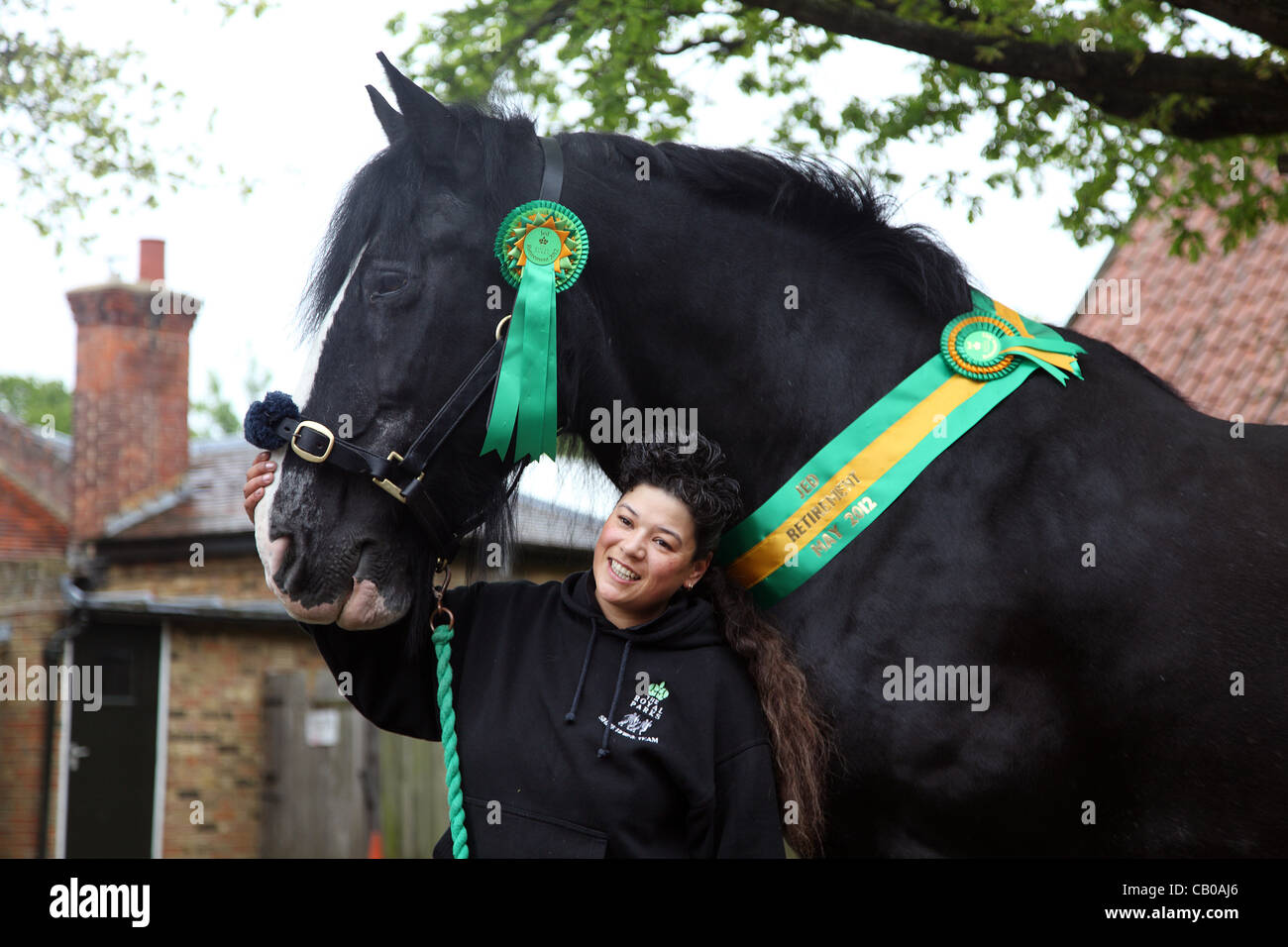 Who has not ridden a horse for 10 years hi-res stock photography and ...
