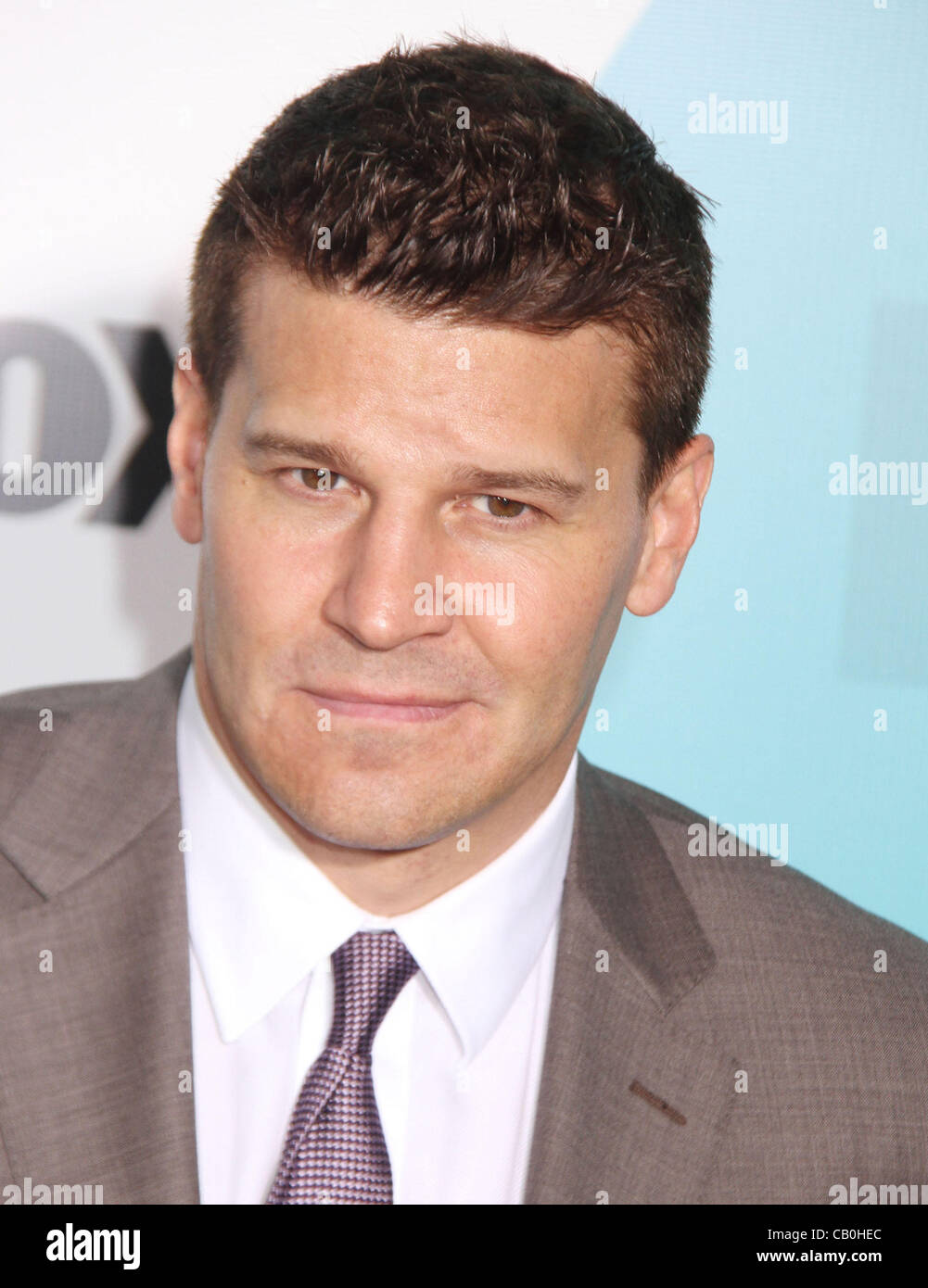 May 14, 2012 - New York, New York, U.S. - Actor DAVID BOREANAZ attends ...