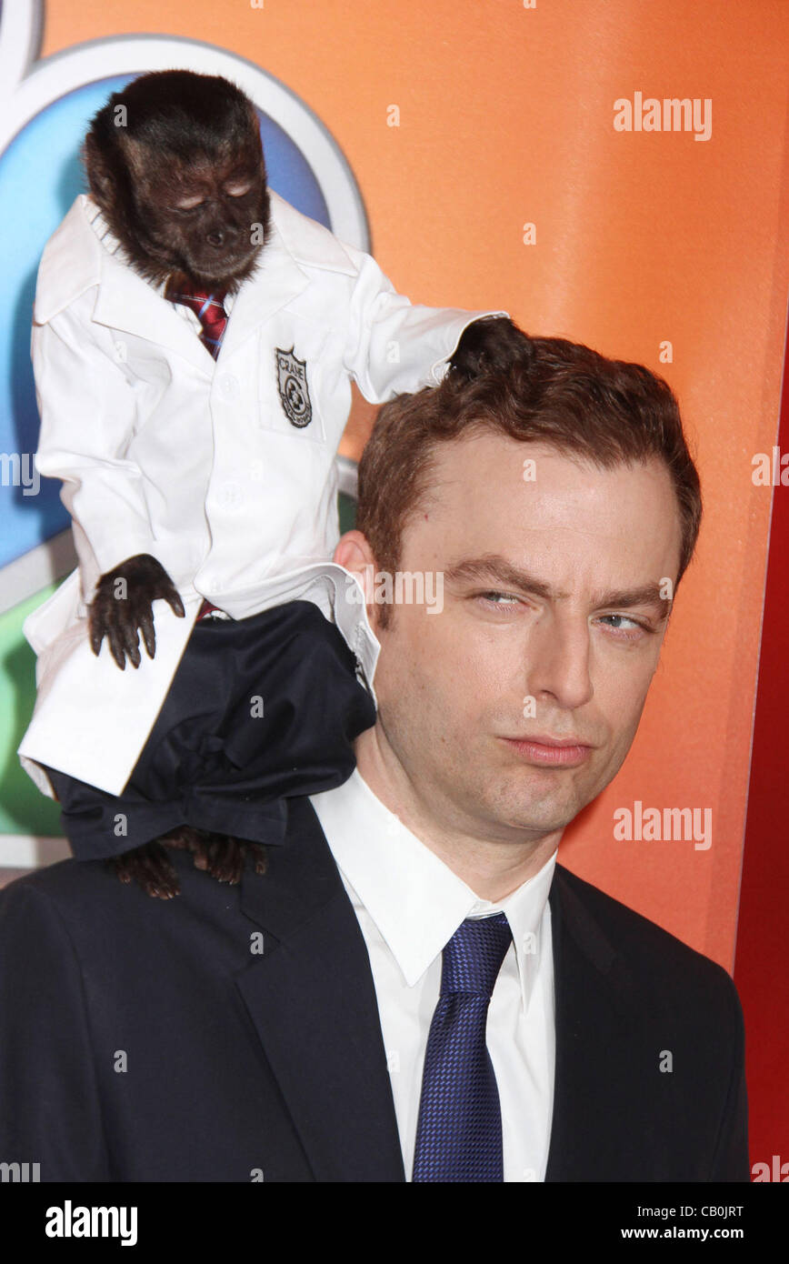 Crystal the monkey hi-res stock photography and images - Alamy