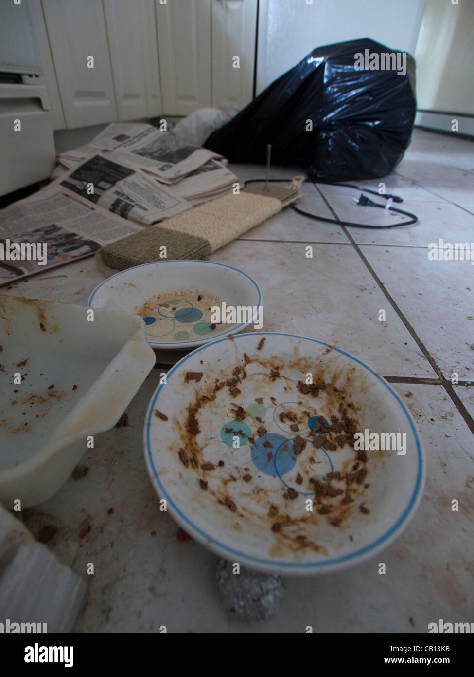 Broken Dish Floor Stock Photos & Broken Dish Floor Stock Images - Alamy