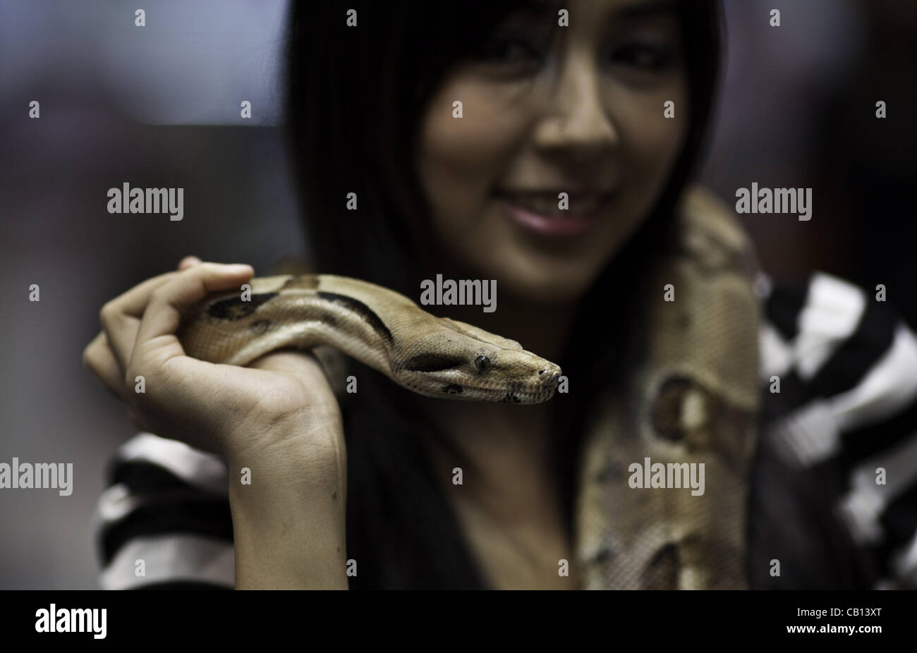 Snake handles hi-res stock photography and images - Alamy