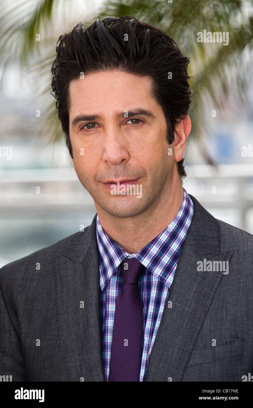 David Schwimmer (actor) at photocall for film 'Madagascar 3: Europe's ...